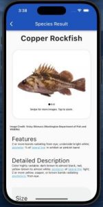 Fish ID Tools - RecFin